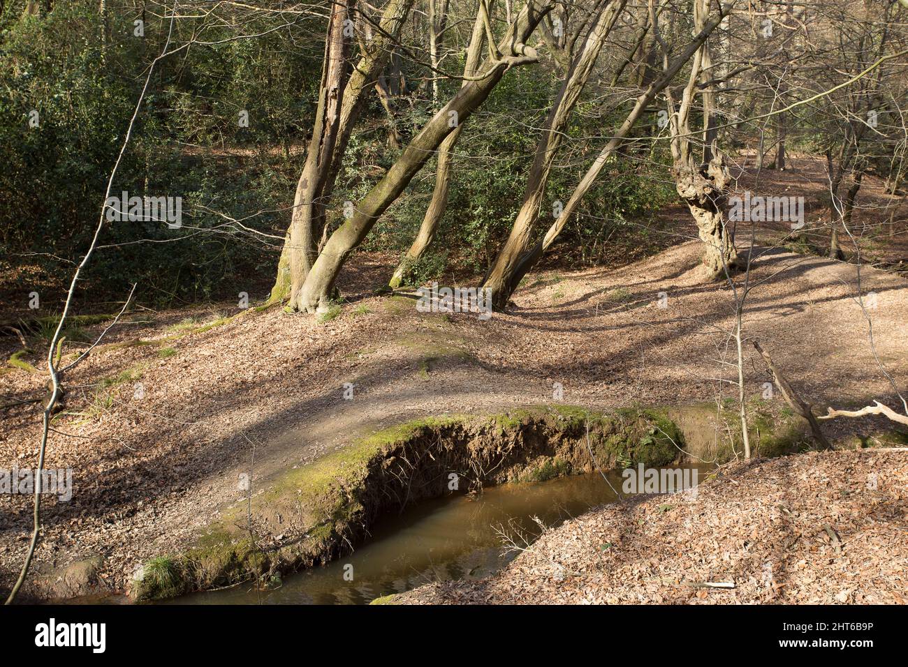 Stream erosion hi-res stock photography and images - Alamy