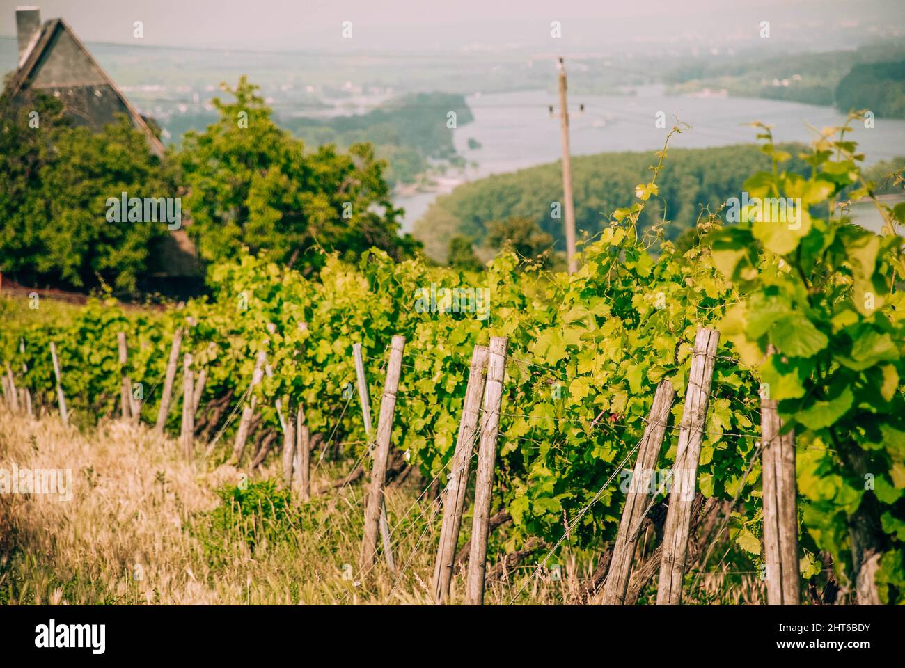 Bingen am rhein hi-res stock photography and images - Alamy