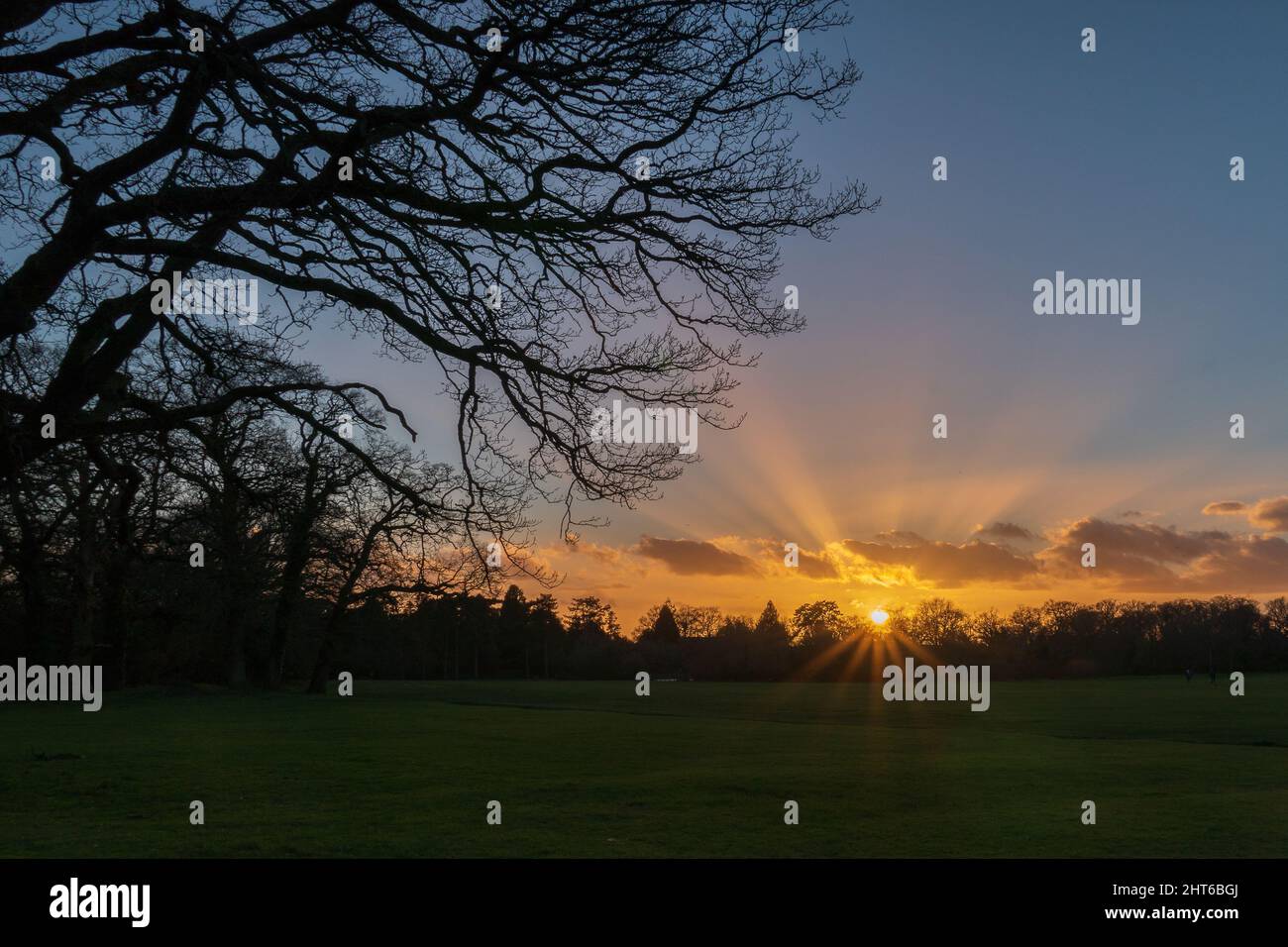 Light on the common hi-res stock photography and images - Alamy