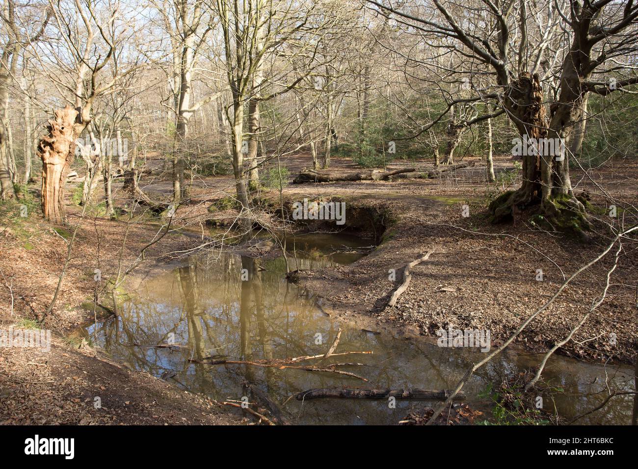 Stream erosion hi-res stock photography and images - Alamy