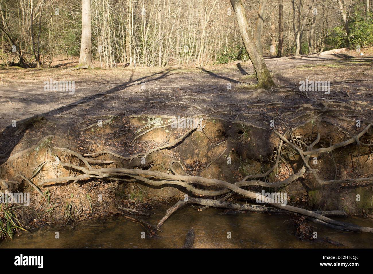 Brook new forest uk winter hi-res stock photography and images - Alamy