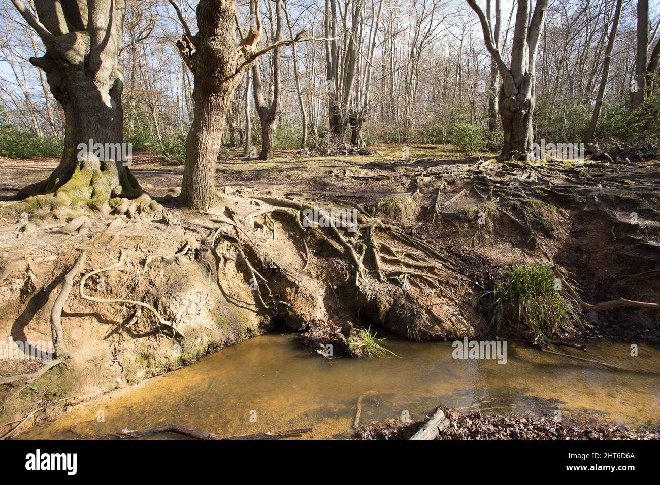 Loughton essex hi-res stock photography and images - Alamy