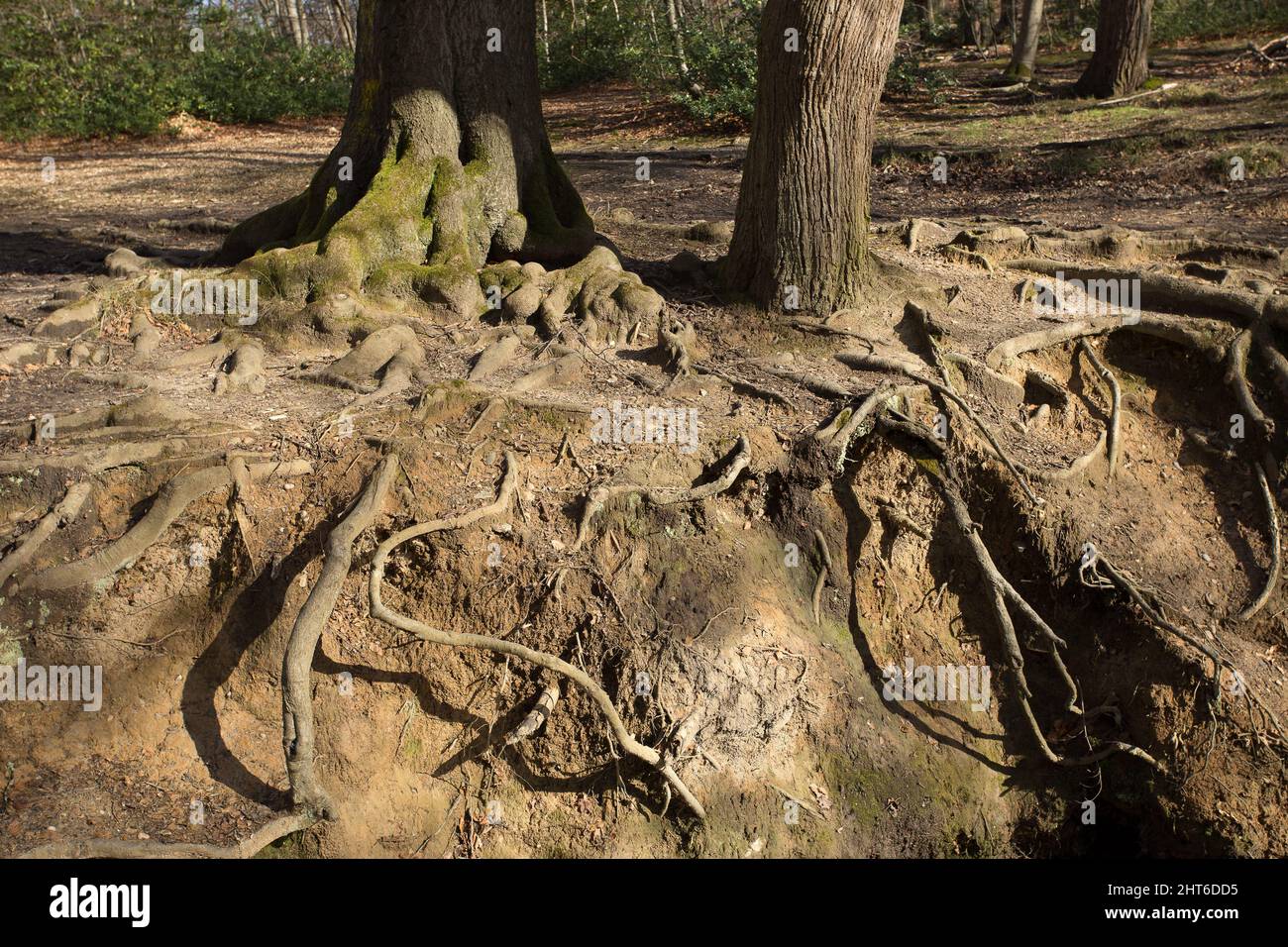 Loughton brook hi-res stock photography and images - Alamy