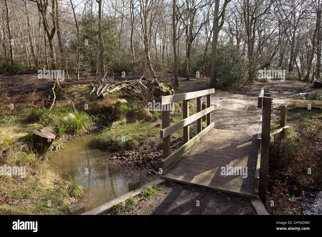 Brook new forest uk winter hi-res stock photography and images - Alamy