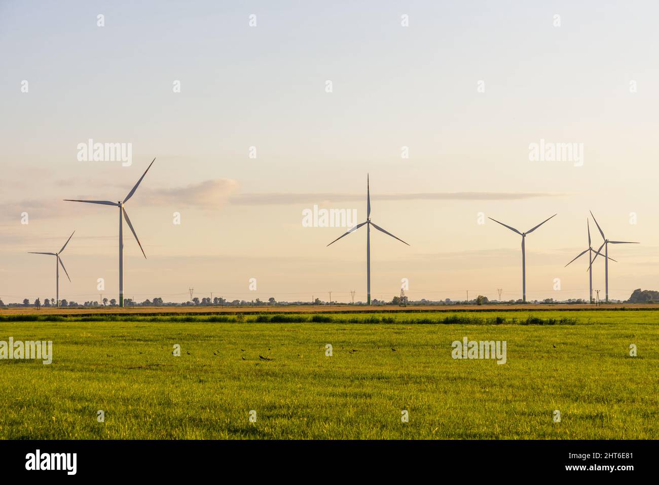 Windmill farm on green meadow, green energy production using wind power ...