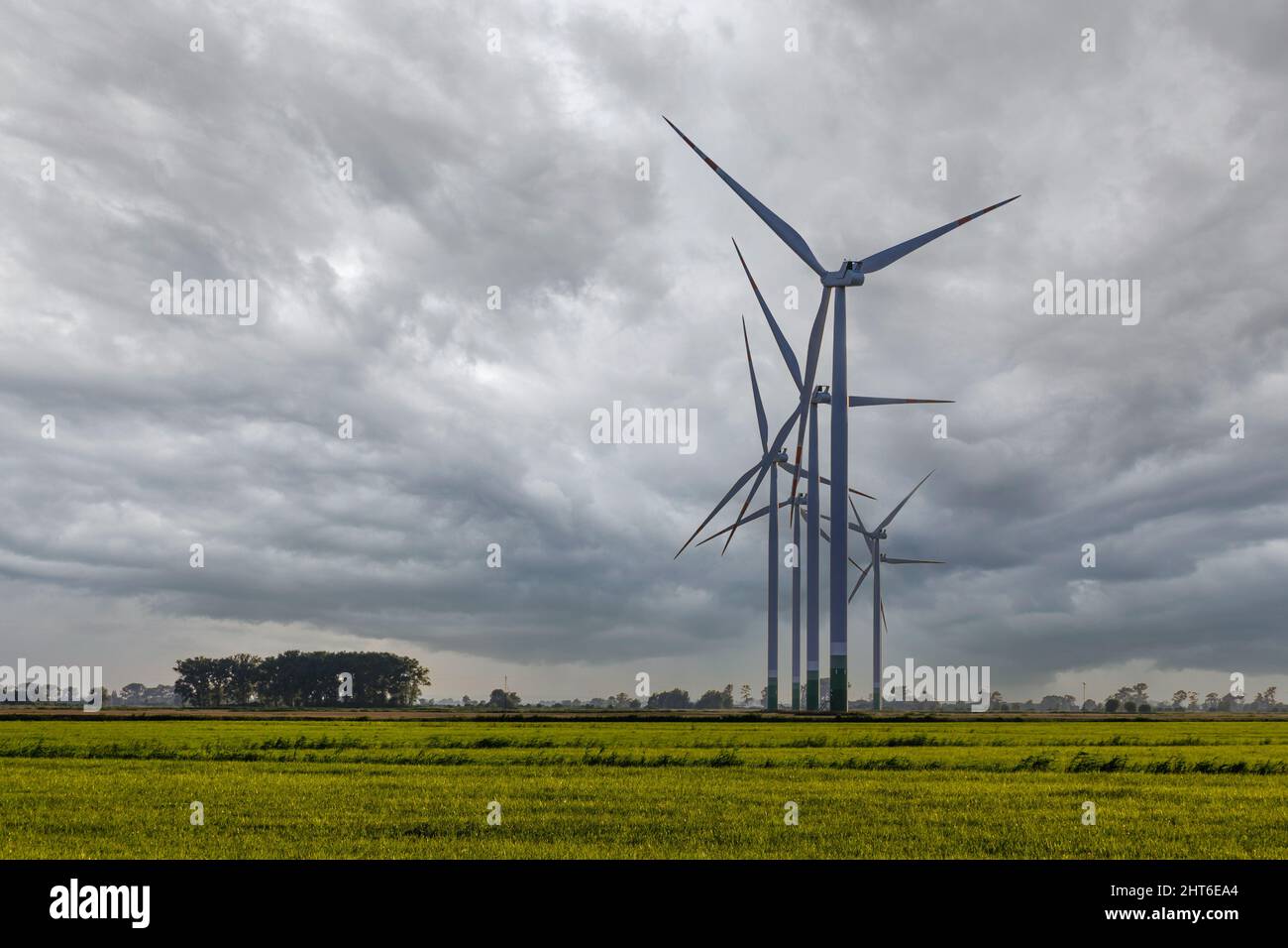 Windmill farm on green meadow, green energy production using wind power ...