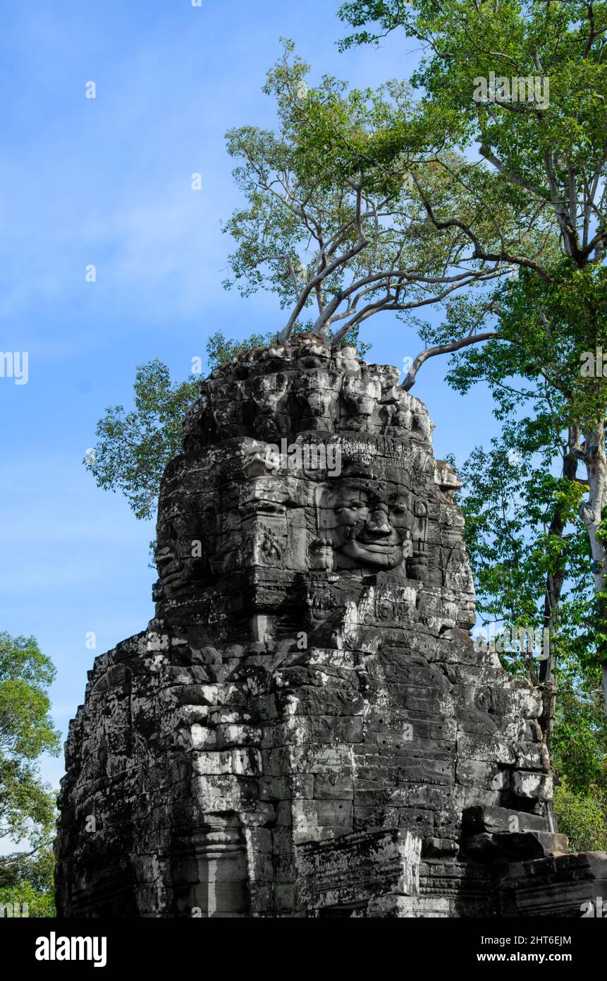 Ancient Buddhist temple in a forest Stock Photo - Alamy