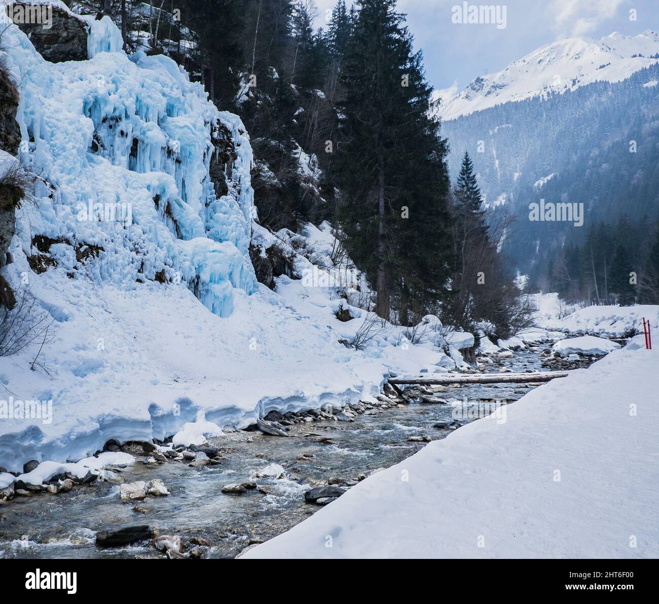 View of a river next to a cliff full of trees in the cold winter ...