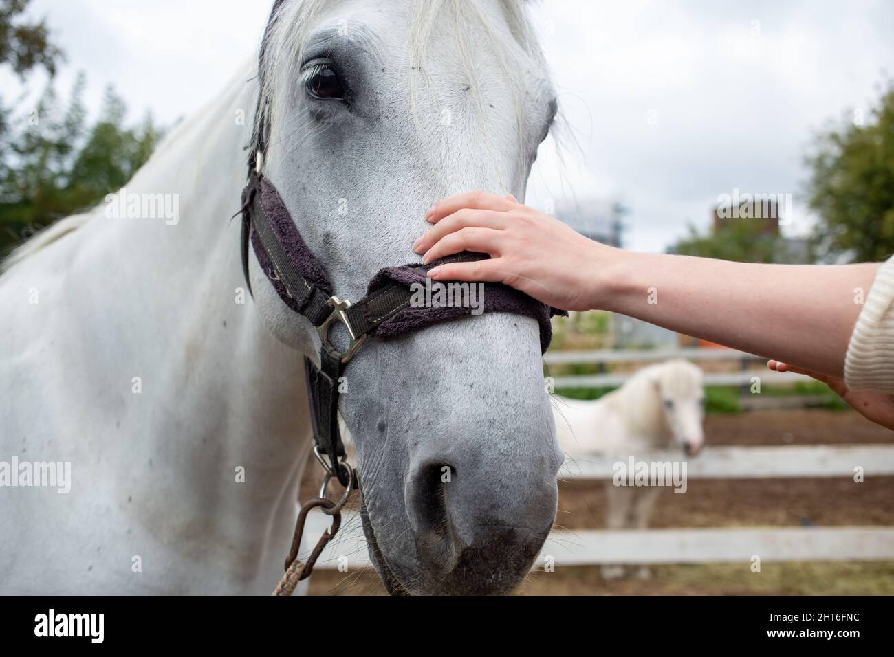 Muzzle person hi-res stock photography and images - Alamy