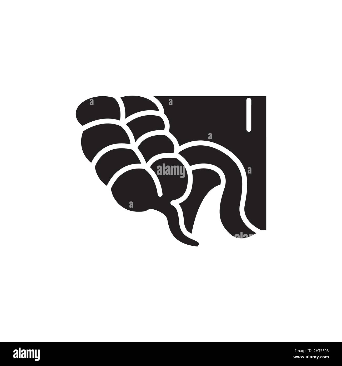 Human Organ Appendix Color Line Icon Isolated Vector Element Outline