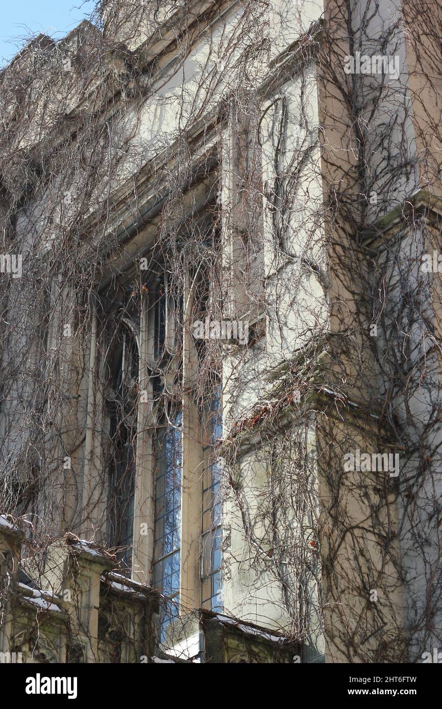 Strong gothic influence hi-res stock photography and images - Alamy