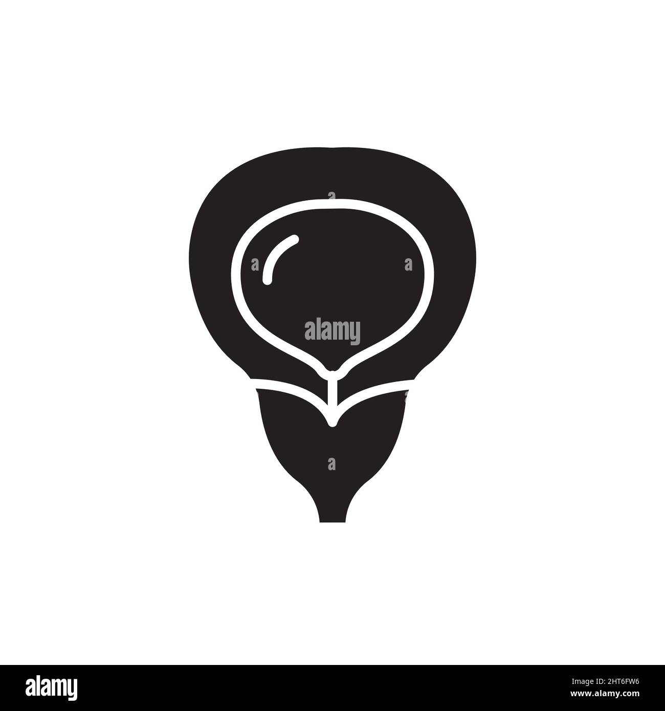 Human organ bladder color line icon. Isolated vector element. Outline ...