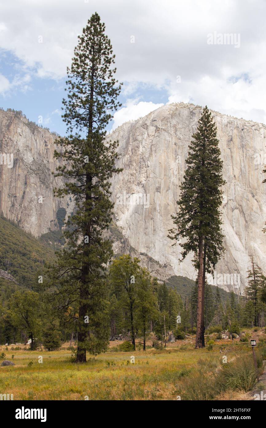 Autumnal landscape from Yosemite National Park, California, United ...