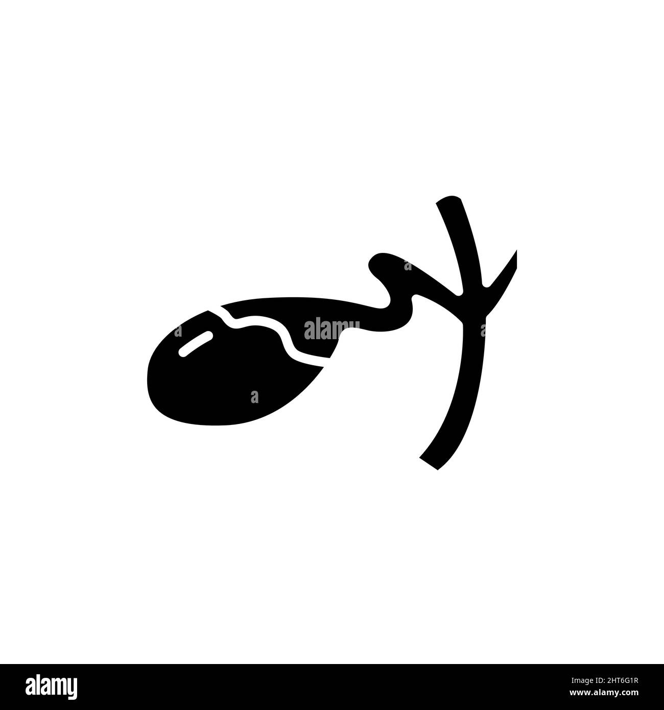 Gallbladder vector vectors Black and White Stock Photos & Images - Alamy