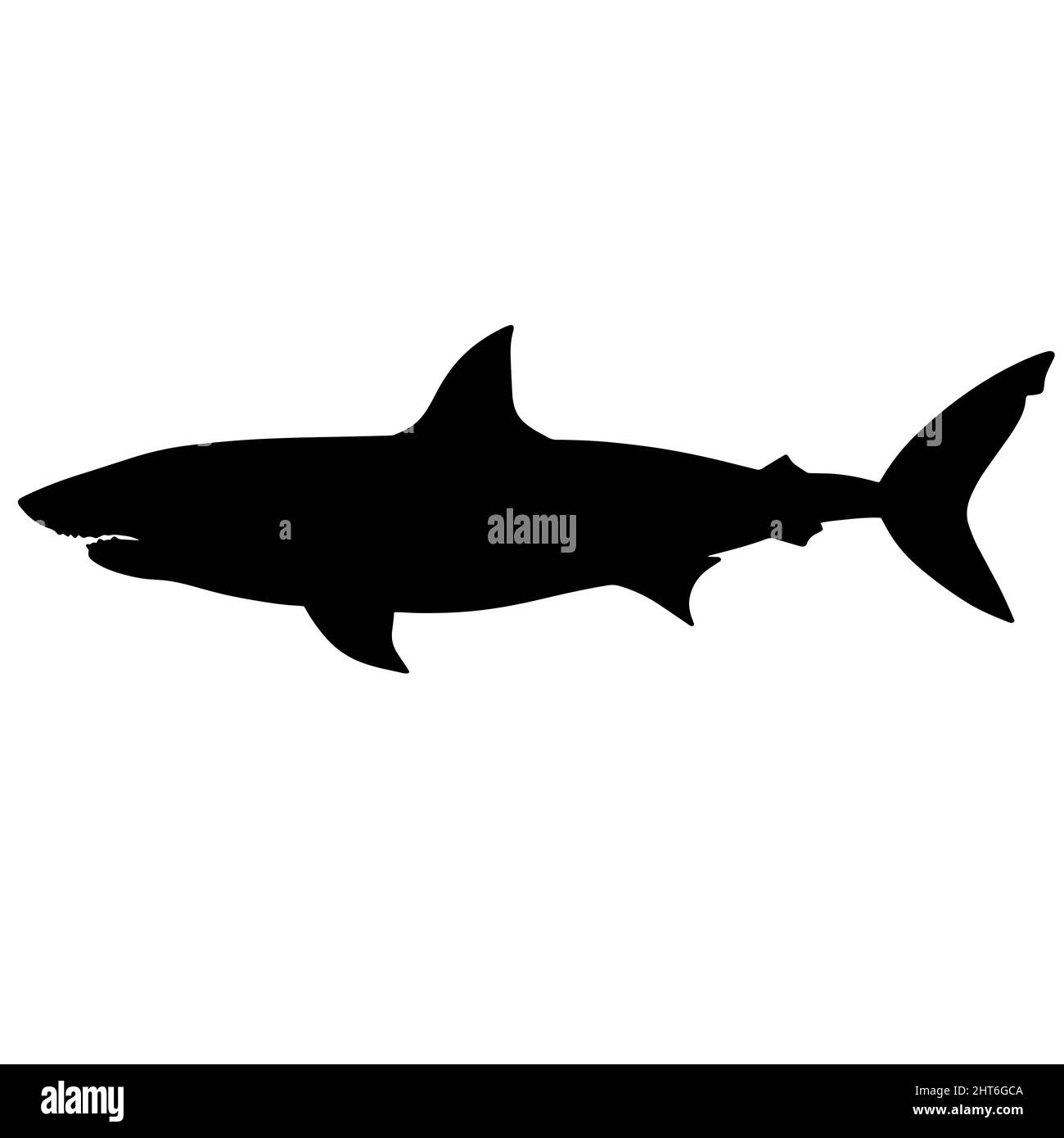 Black and white illustration of shark. Silhouette of a sea monster ...