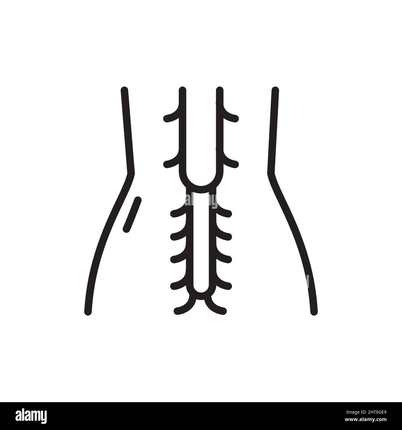 Cauda equina syndrome color line icon. Isolated vector element. Outline ...