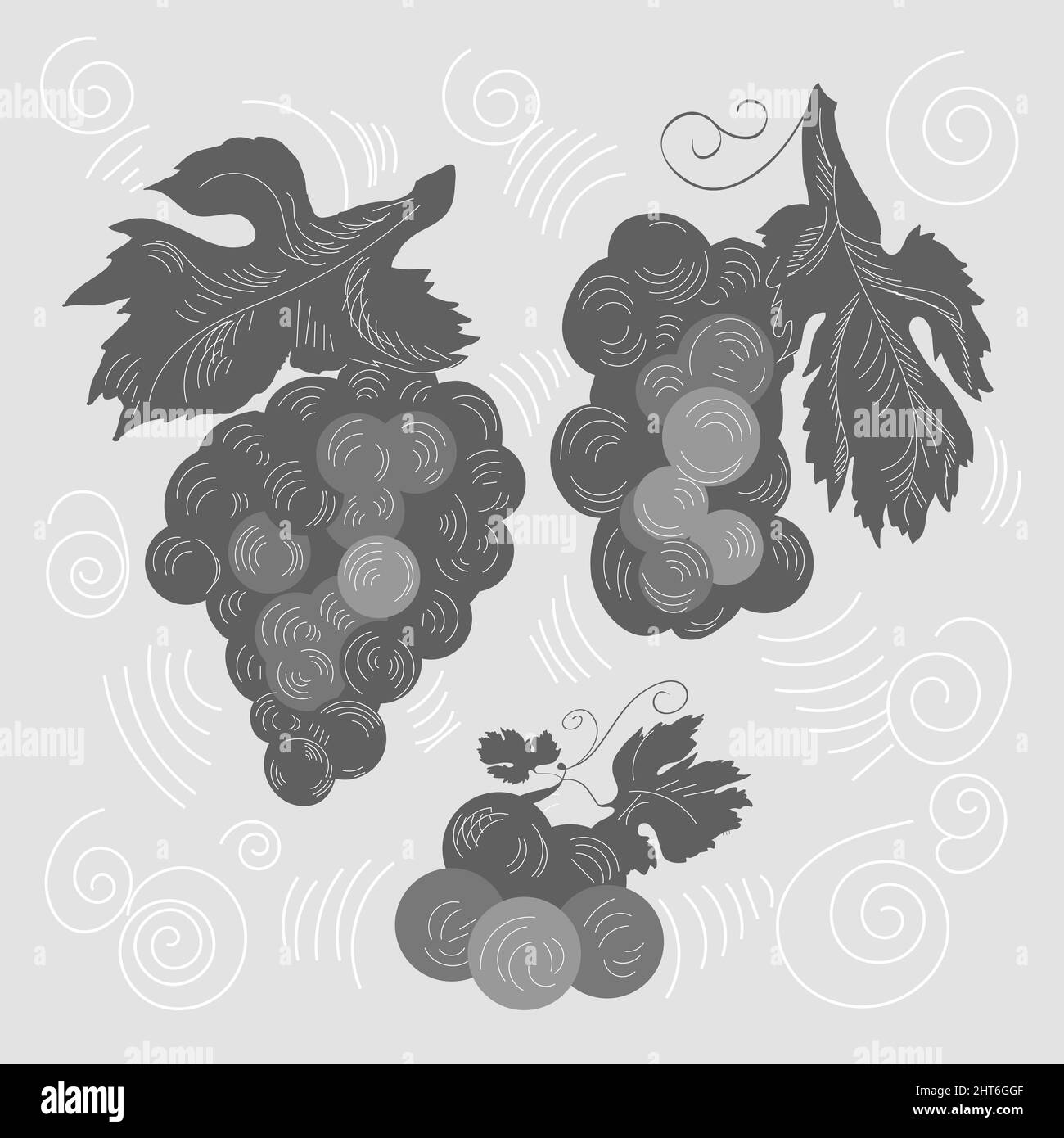 Alcohol grape vine wine Black and White Stock Photos & Images - Alamy
