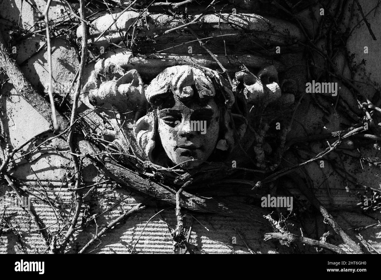 Medieval man eyes Black and White Stock Photos & Images - Alamy