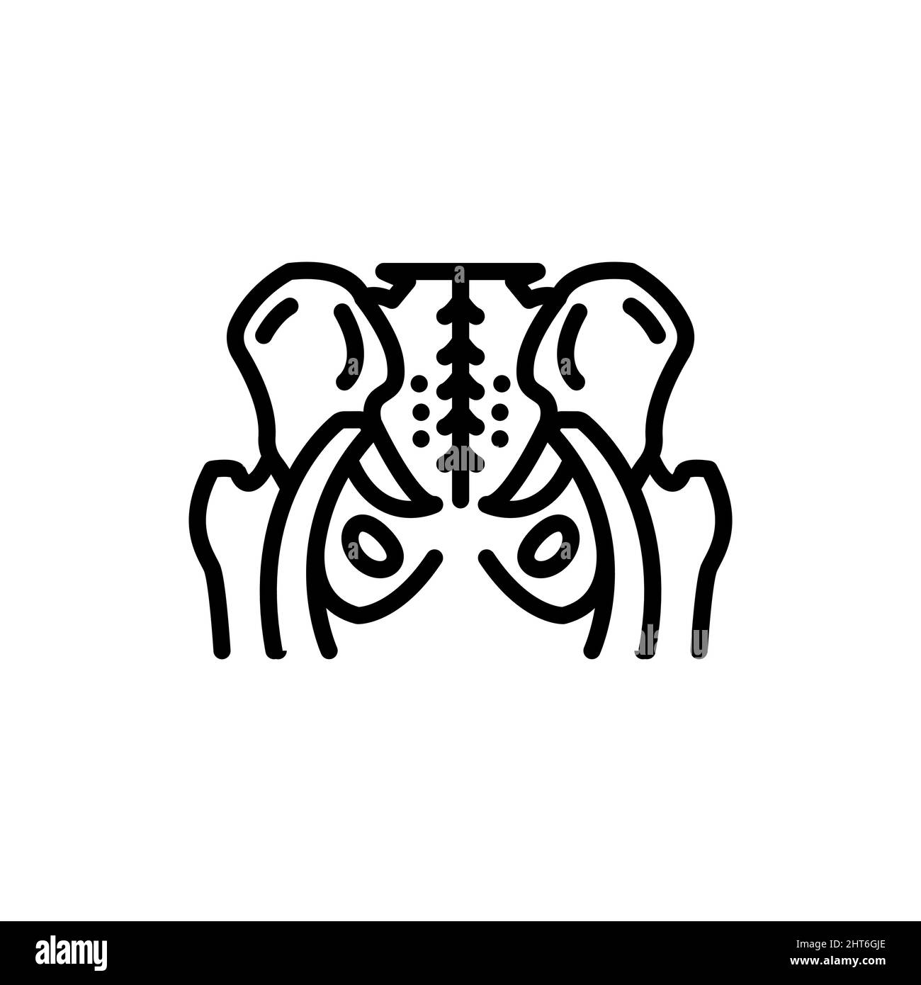 Pelvis anatomy clipart hi-res stock photography and images - Alamy