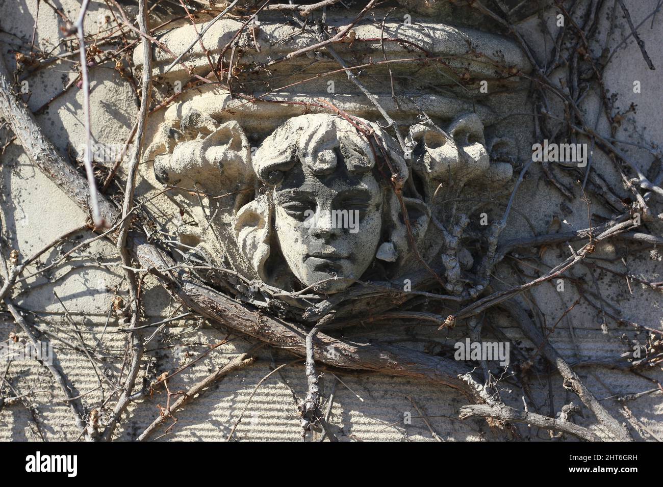 Majestic medieval stone face of a young man with a strong Gothic ...