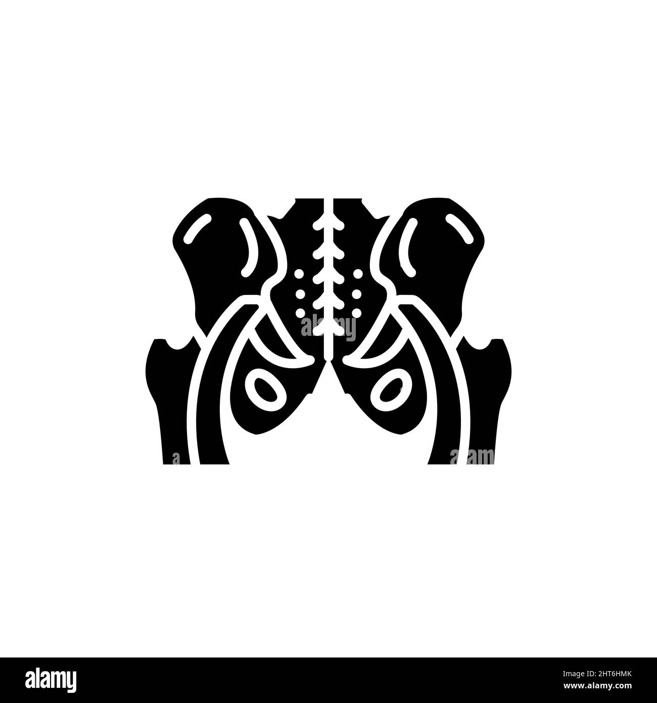 Pelvis anatomy clipart hi-res stock photography and images - Alamy