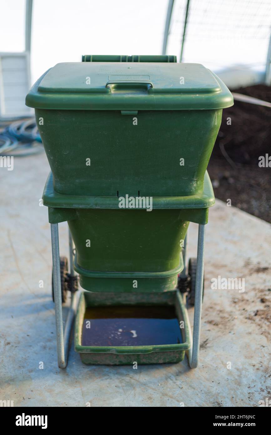 Vertical shot of a green Hungry Bin Worm Farm with a light sky Stock ...