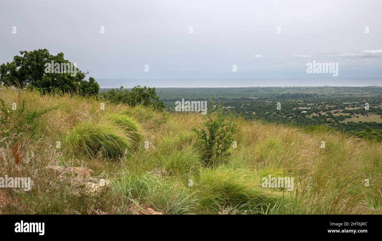 Top down large field grass hi-res stock photography and images - Alamy