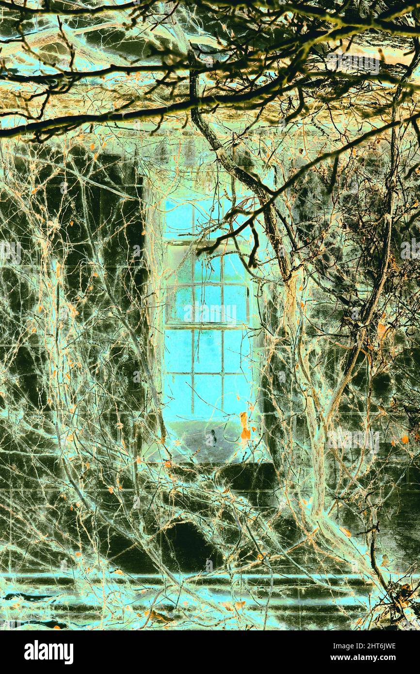 A forbidding and scary gothic window on an old mansion glowing in the ...