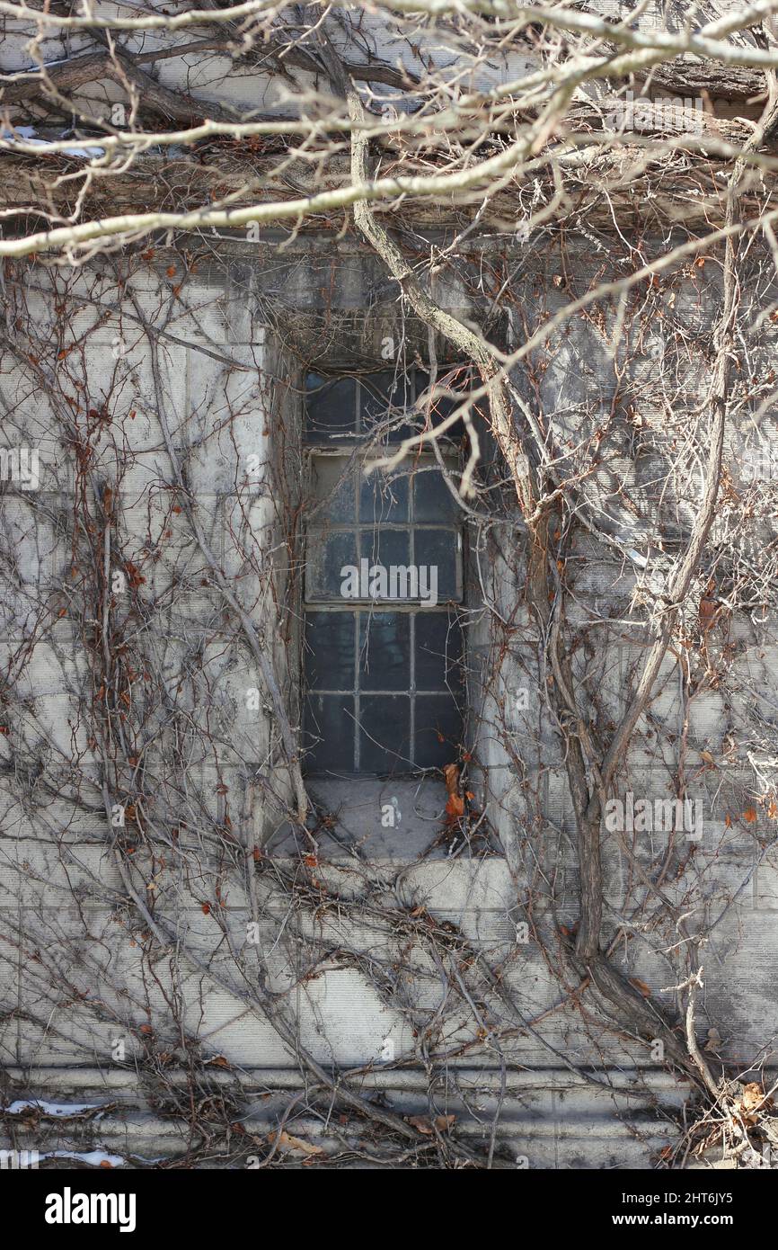 A forbidding and scary gothic window on an old mansion Stock Photo - Alamy