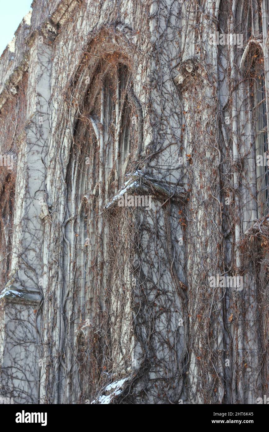 Majestic medieval stone tower with a strong Gothic influence Stock ...