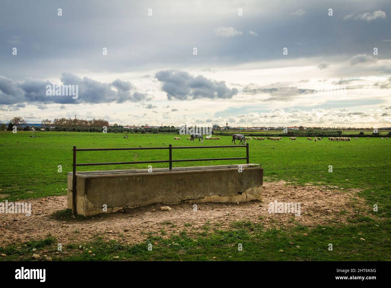 Water trough in a field Stock Photo - Alamy