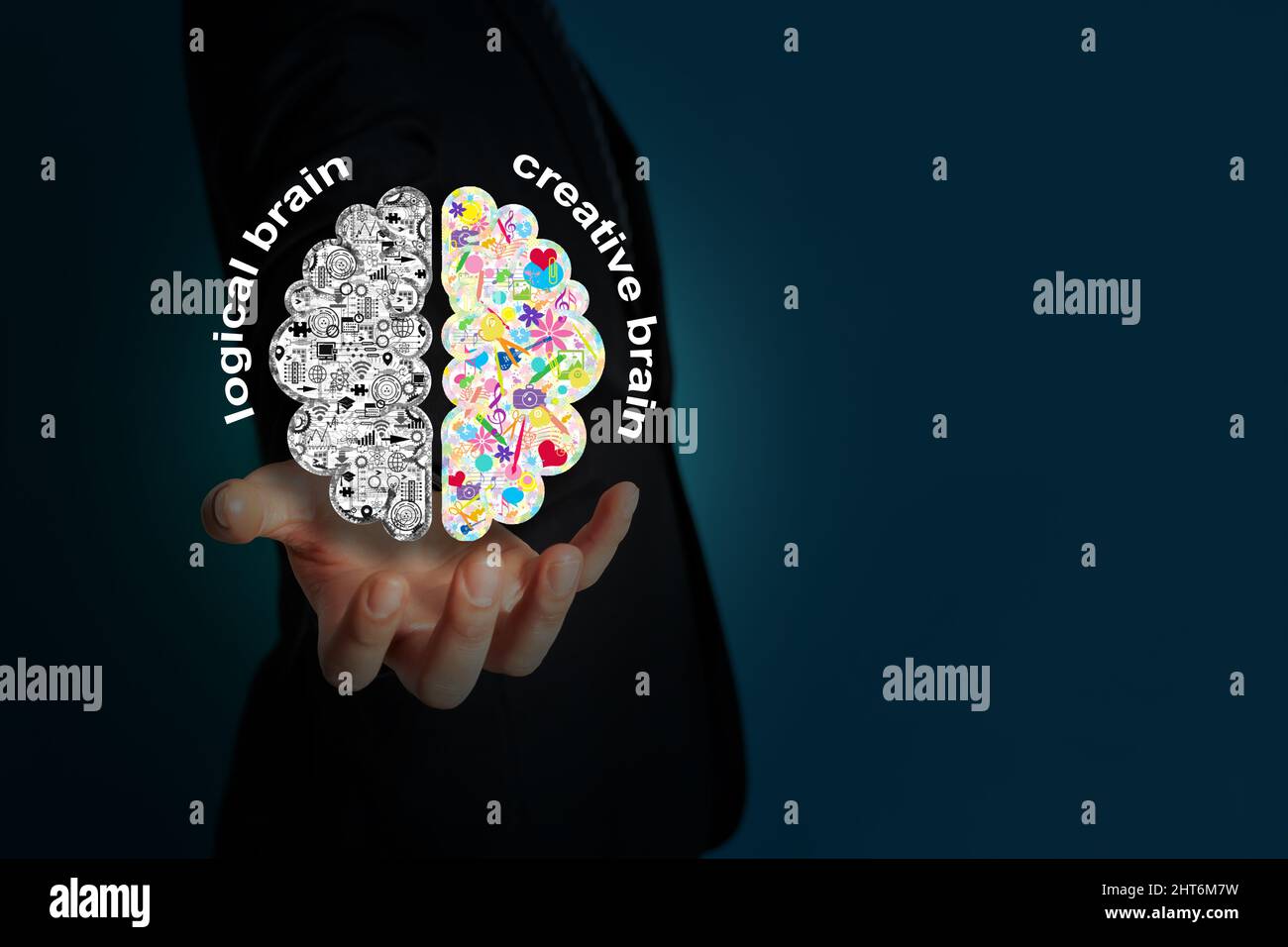Closeup of the difference in the human brain Stock Photo - Alamy