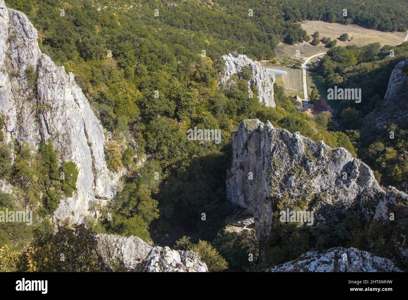 Aerial shot of a beautiful forest on a sunny day Stock Photo - Alamy