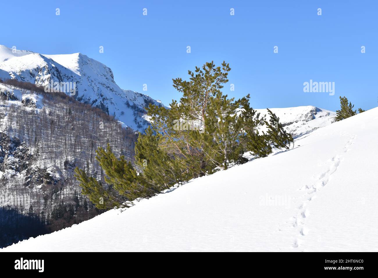 Winter hiking on Zelengora mountain, Bosnia Stock Photo - Alamy