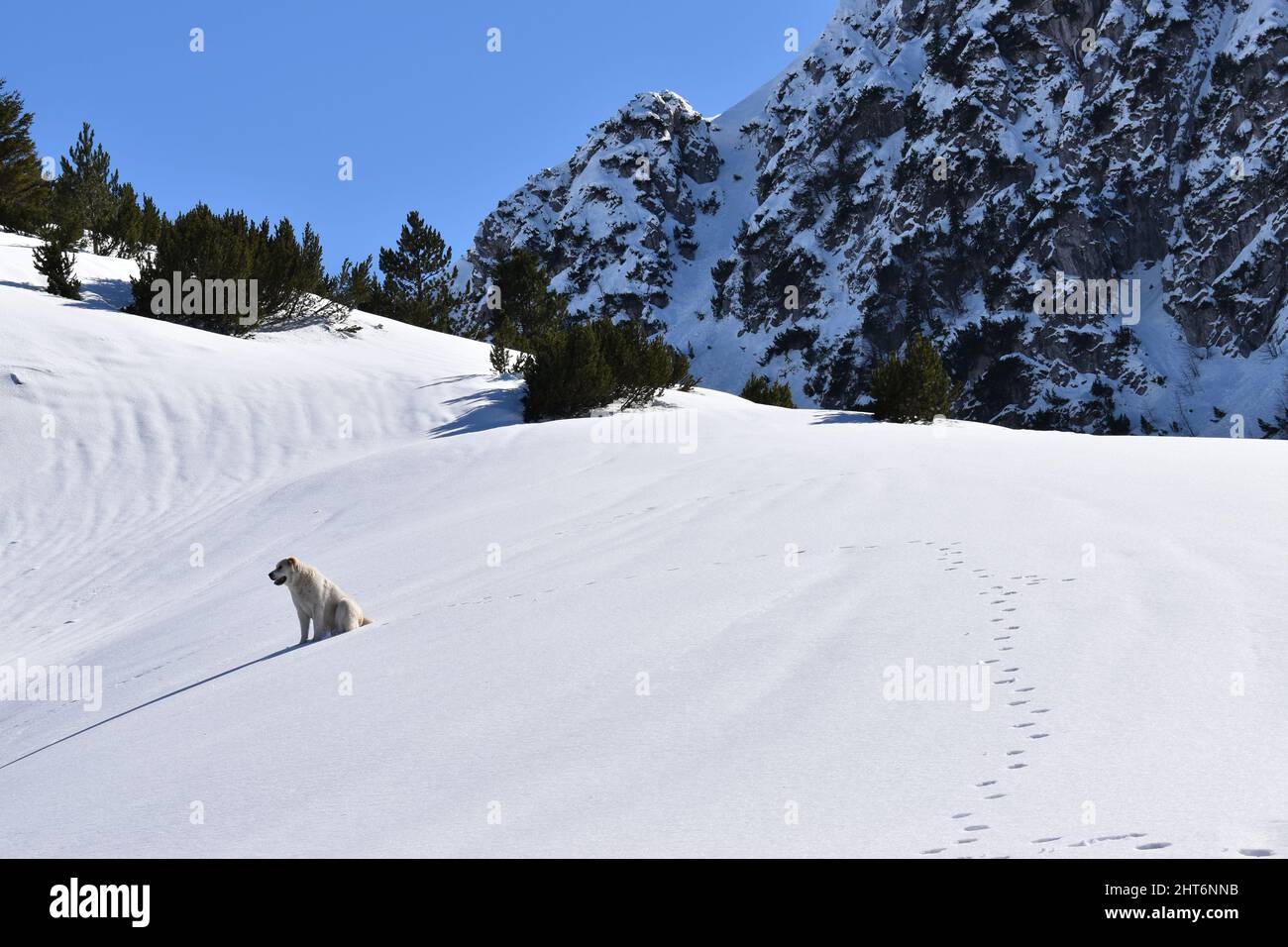 Winter hiking on Zelengora mountain, Bosnia Stock Photo - Alamy