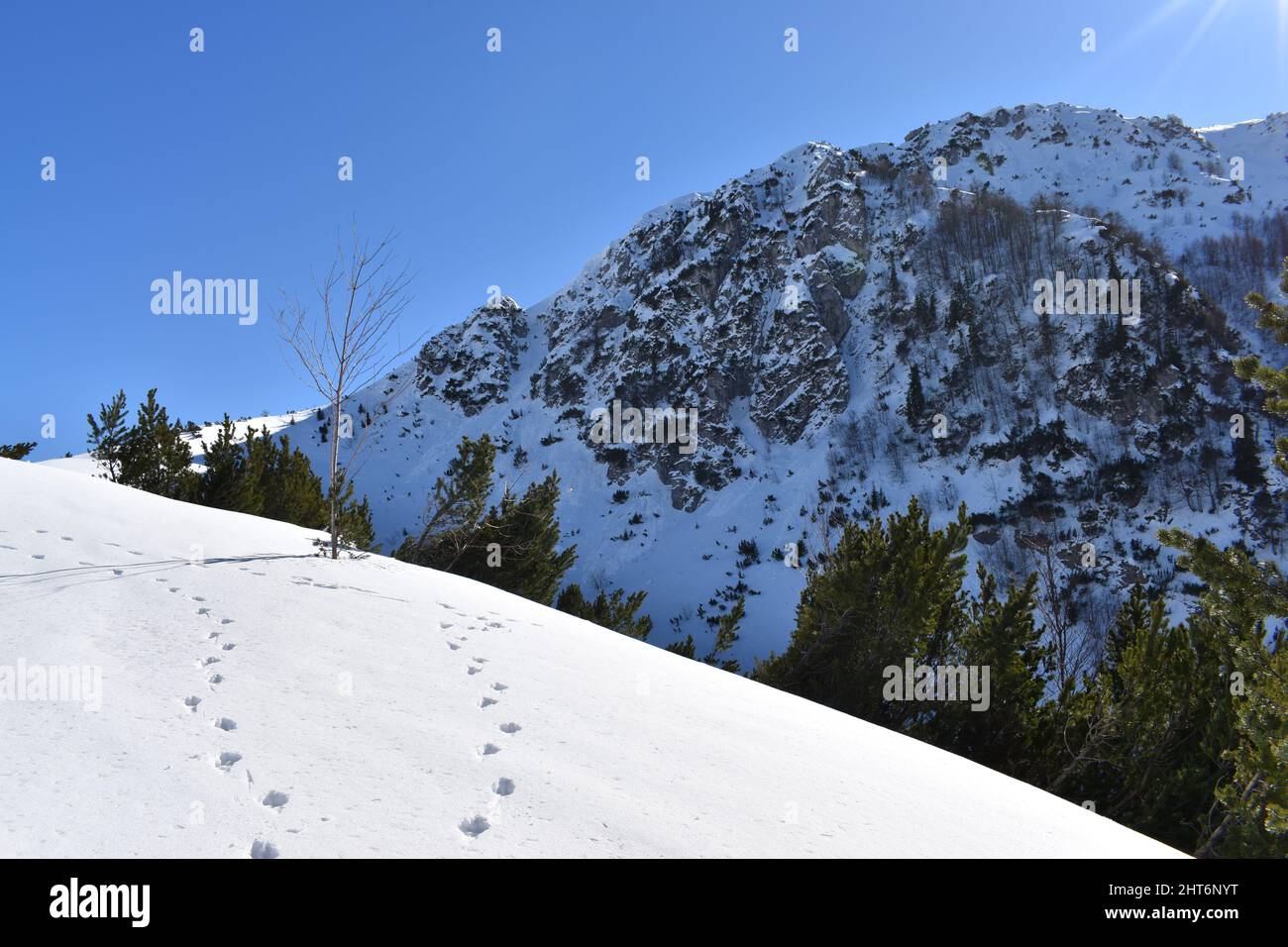 Winter hiking on Zelengora mountain, Bosnia Stock Photo - Alamy