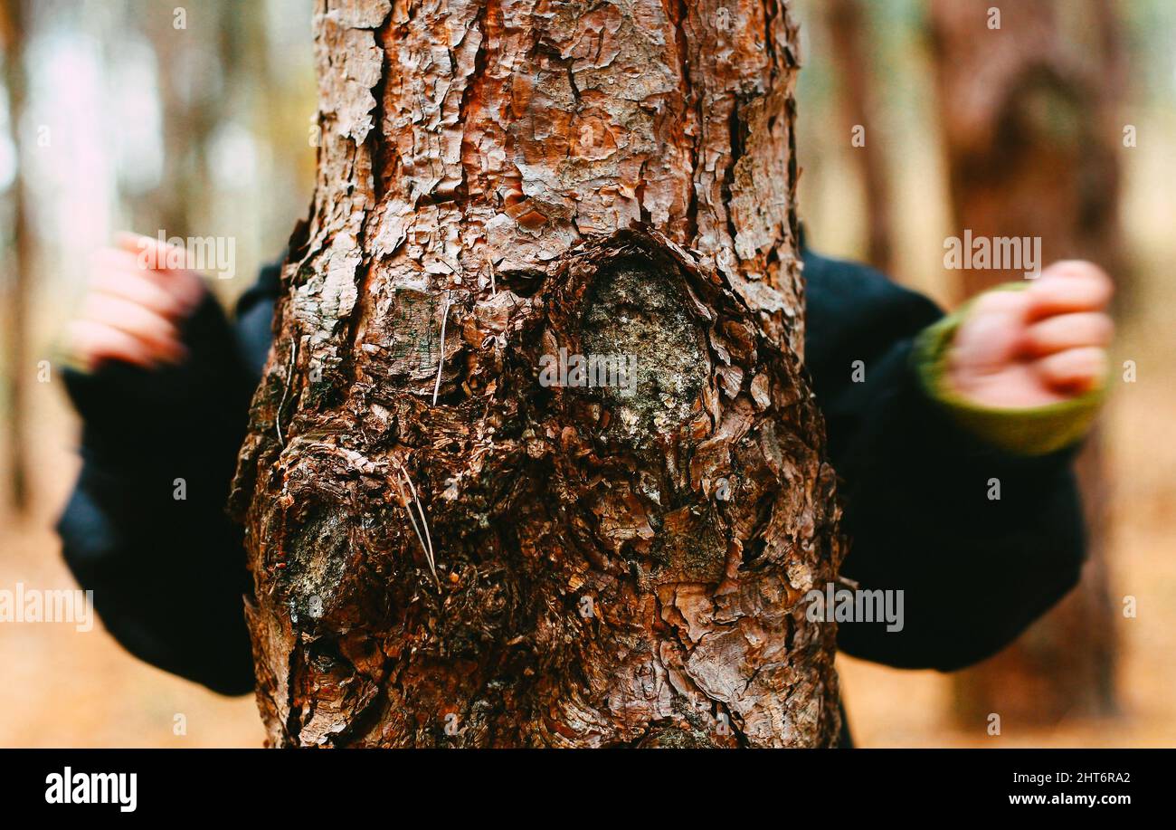 Little boy is hiding behind tree during hide and seek game in young ...