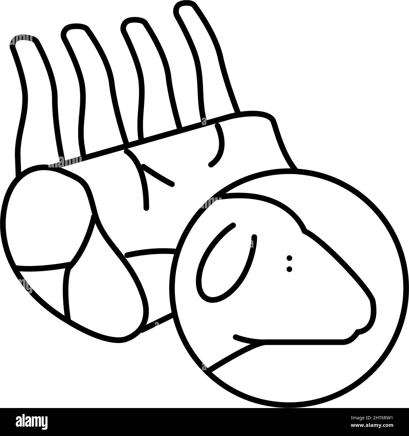 mutton meat line icon vector illustration Stock Vector Image & Art - Alamy