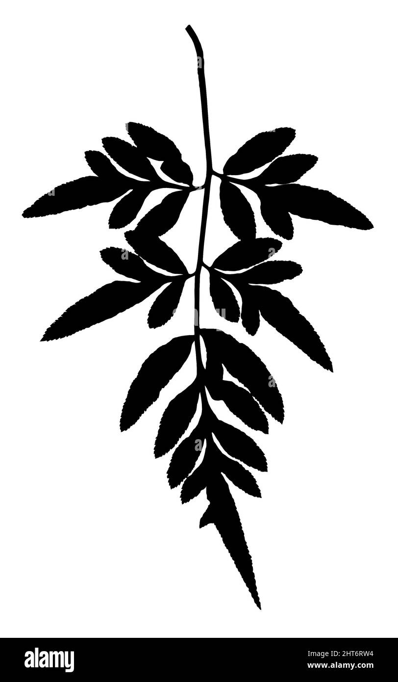 Transfer colors Black and White Stock Photos & Images - Alamy