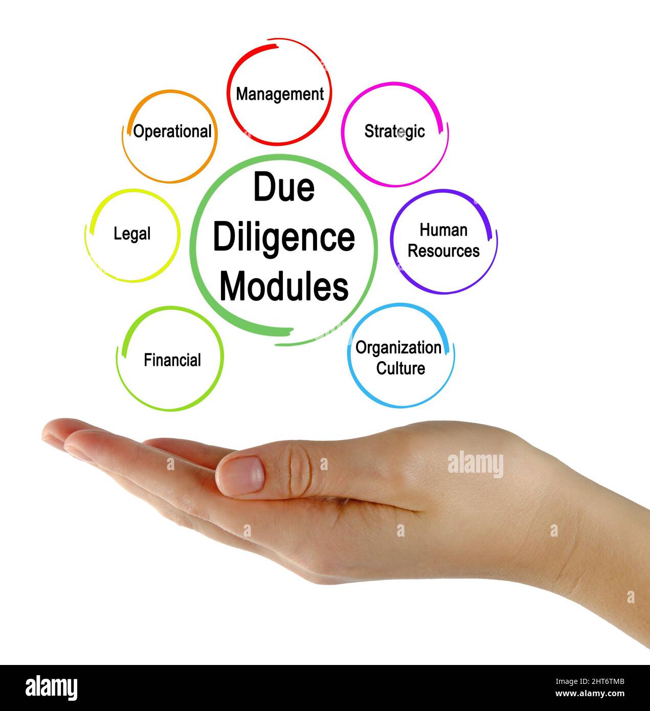Seven Components of Due Diligence Stock Photo - Alamy