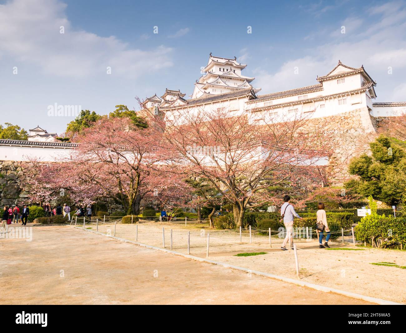 Famous Himeji Castle behind beautiful spring blossoms in Japan Stock ...