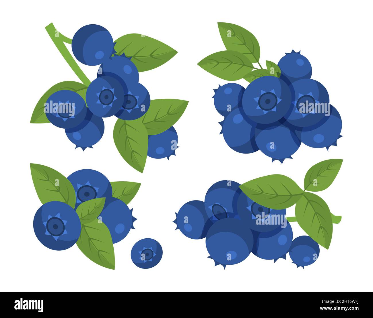 Set of blueberries Stock Vector Image & Art - Alamy