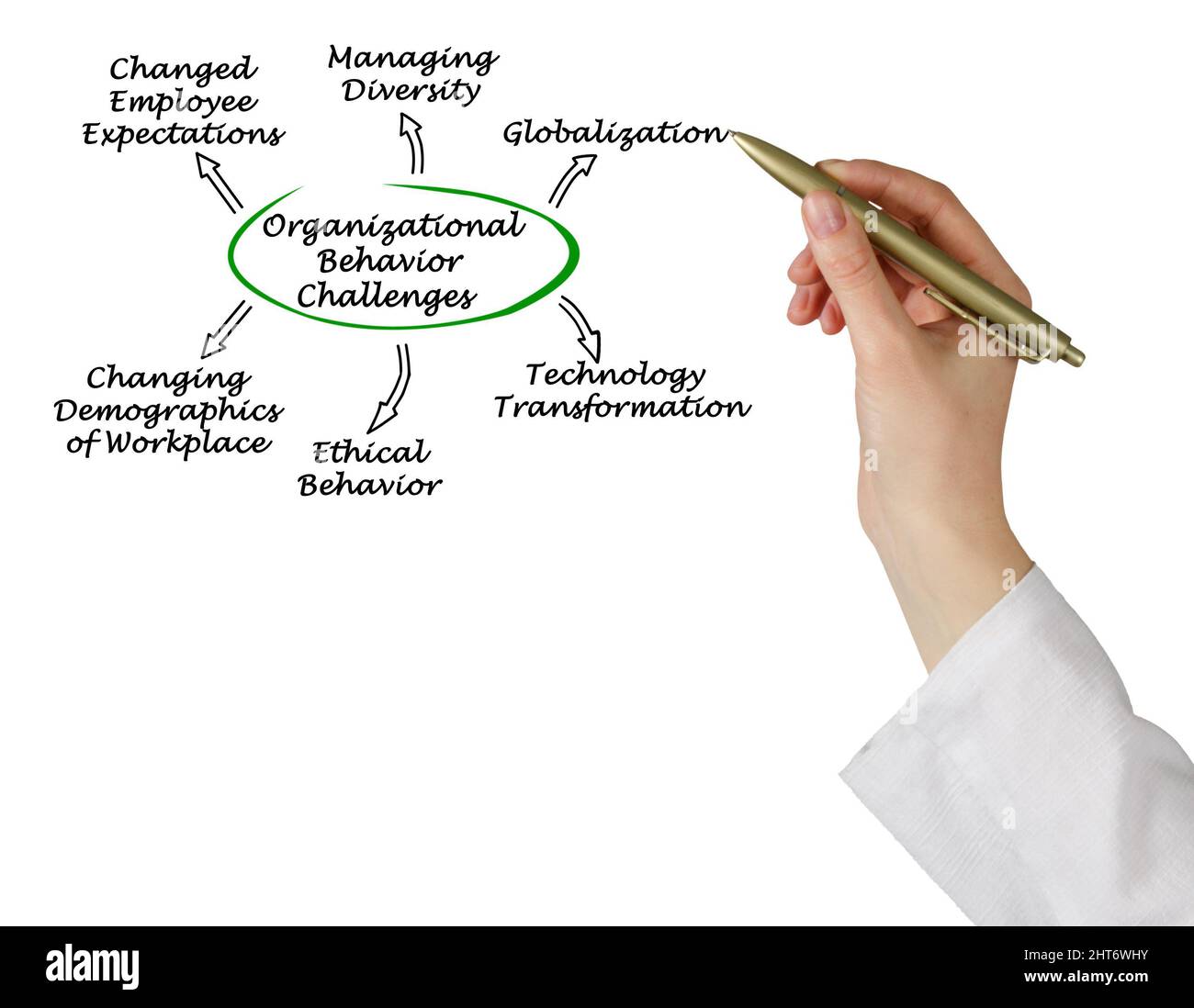 Organizational behavior hi-res stock photography and images - Alamy