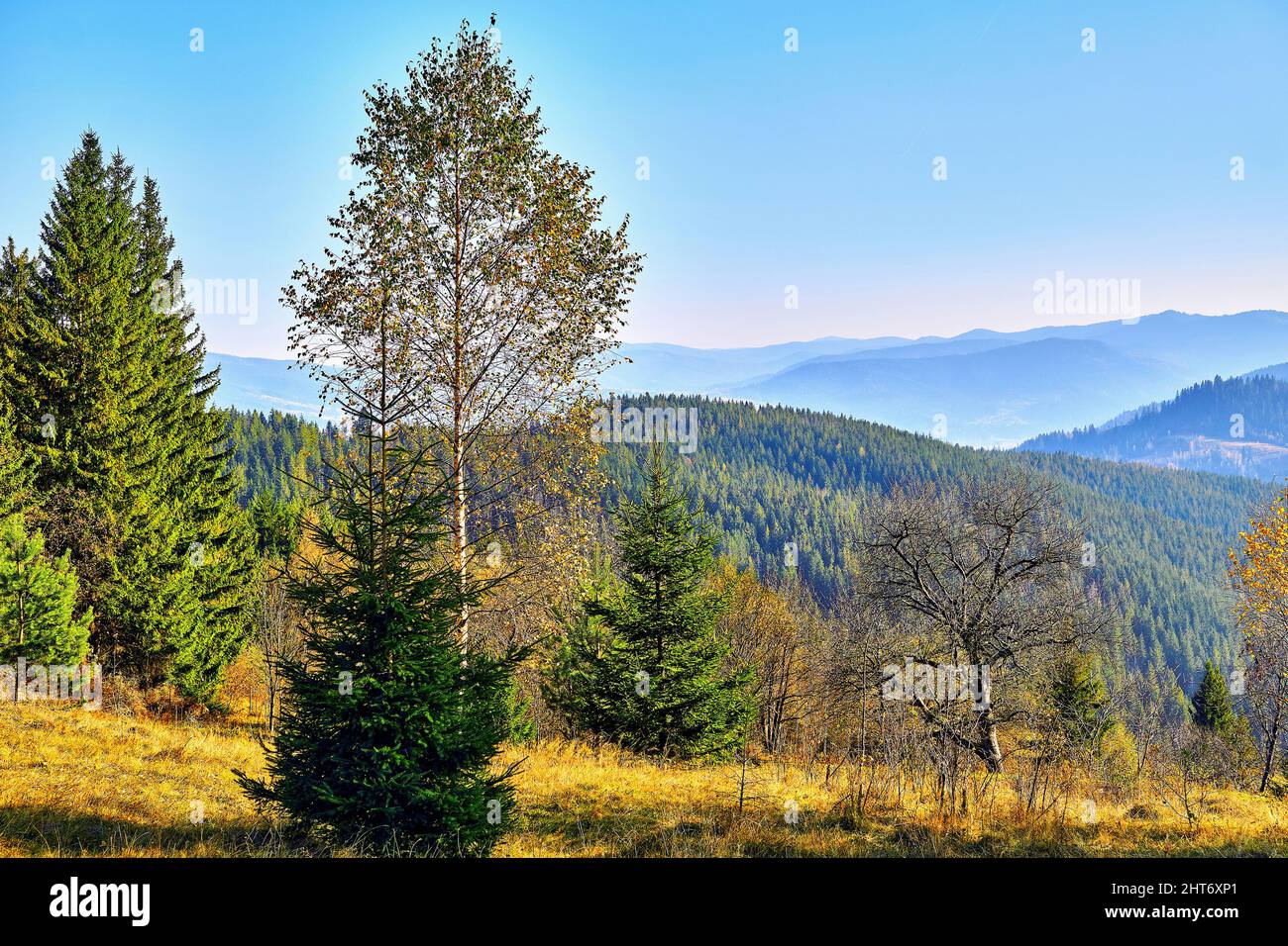 Range of vivid colors hi-res stock photography and images - Alamy