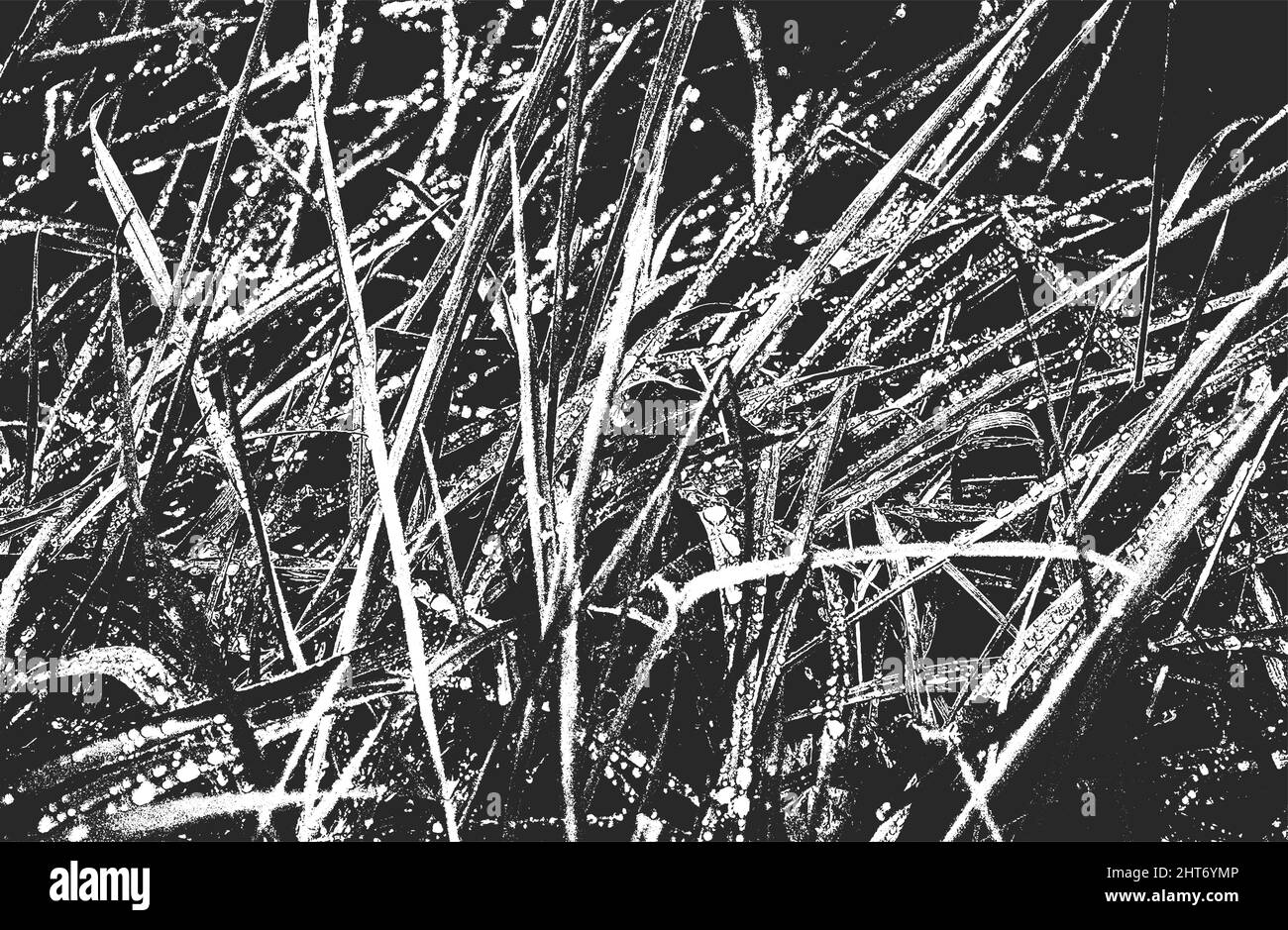 Distressed overlay grass stem texture on the ground. grunge black and ...