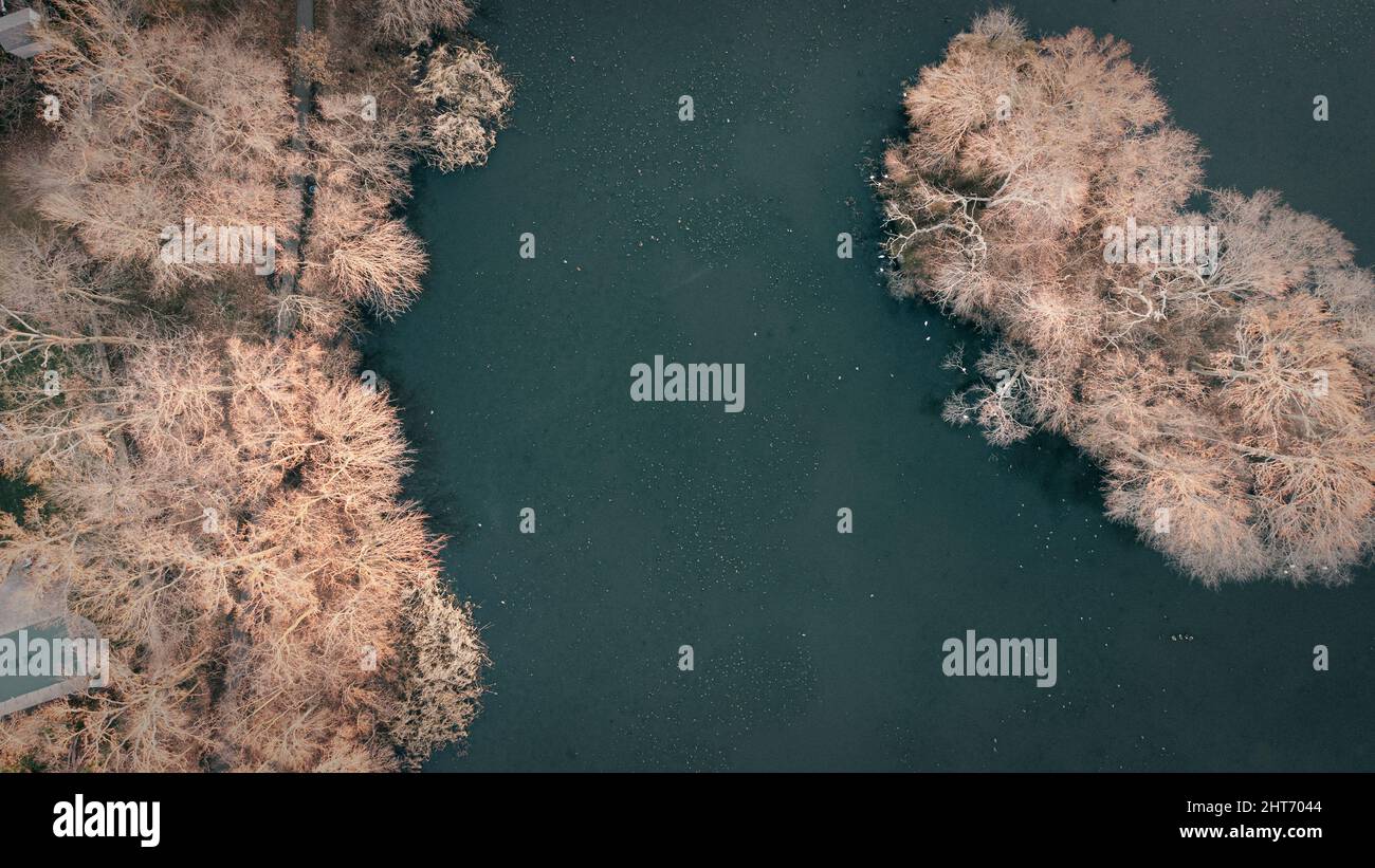 Aerial view of a leafless trees sticking out and by a lake on a sunny ...