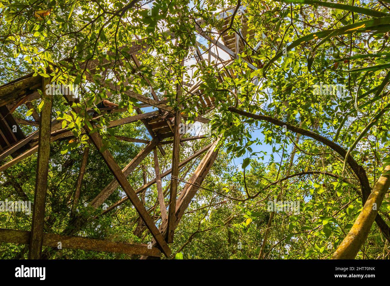Wooden viewpoint tower with panorama view to the Muyil Lagoon in the ...