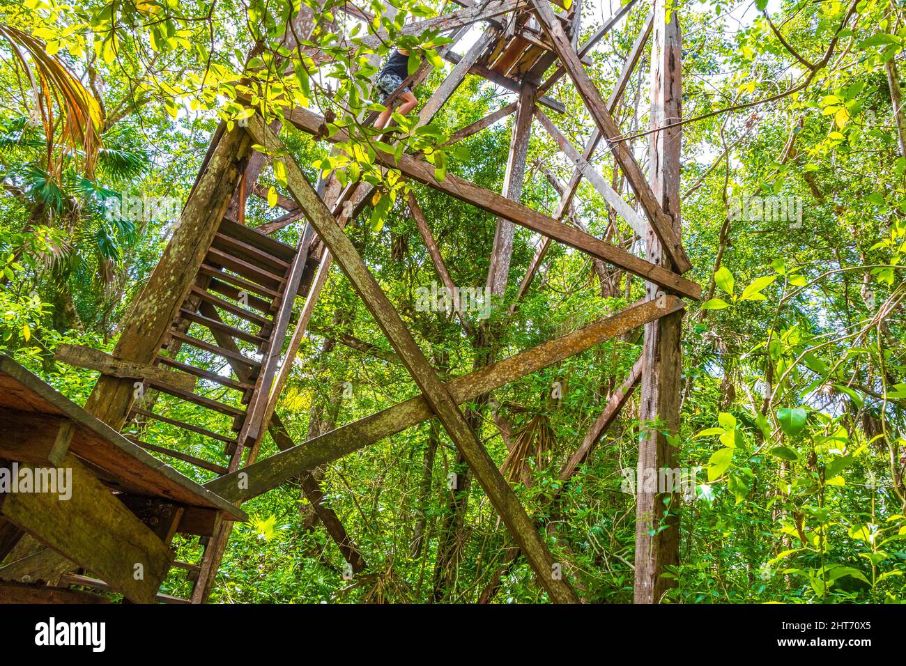 Wooden viewpoint tower with panorama view to the Muyil Lagoon in the ...