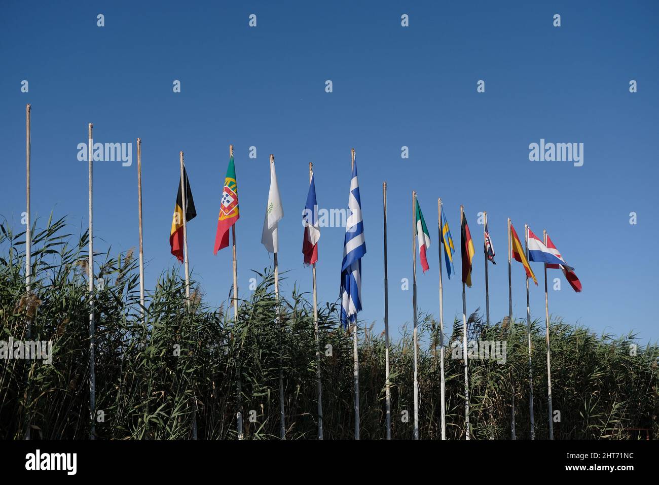 Line of different national flags hanging against the blue sky Stock ...