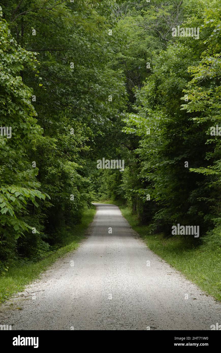 Rural gravel road lined by trees in the summertime in Missouri Stock ...